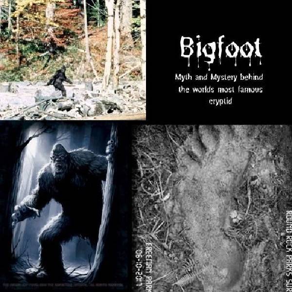 Bigfoot: Myth and Mystery behind the worlds most famous cryptid Audiobook | Himalaya